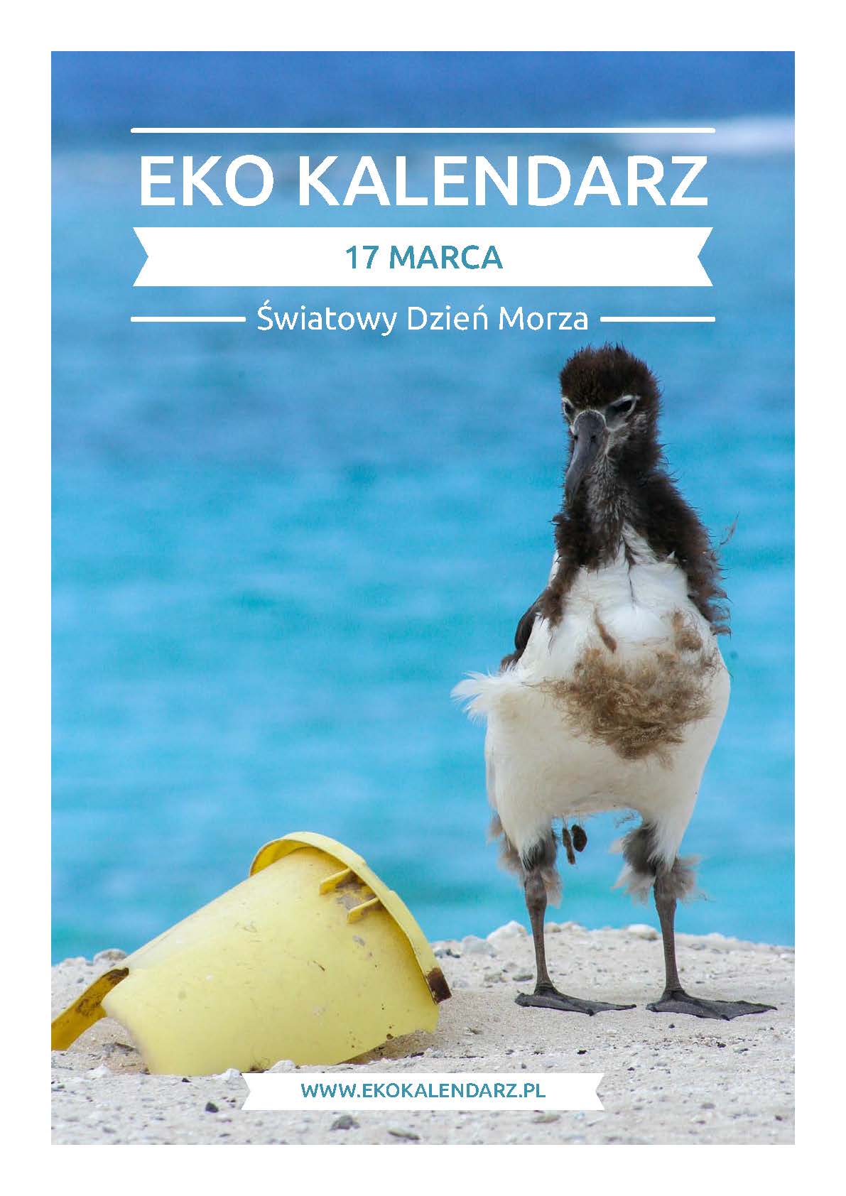 Dzień Mórz | EKO Kalendarz