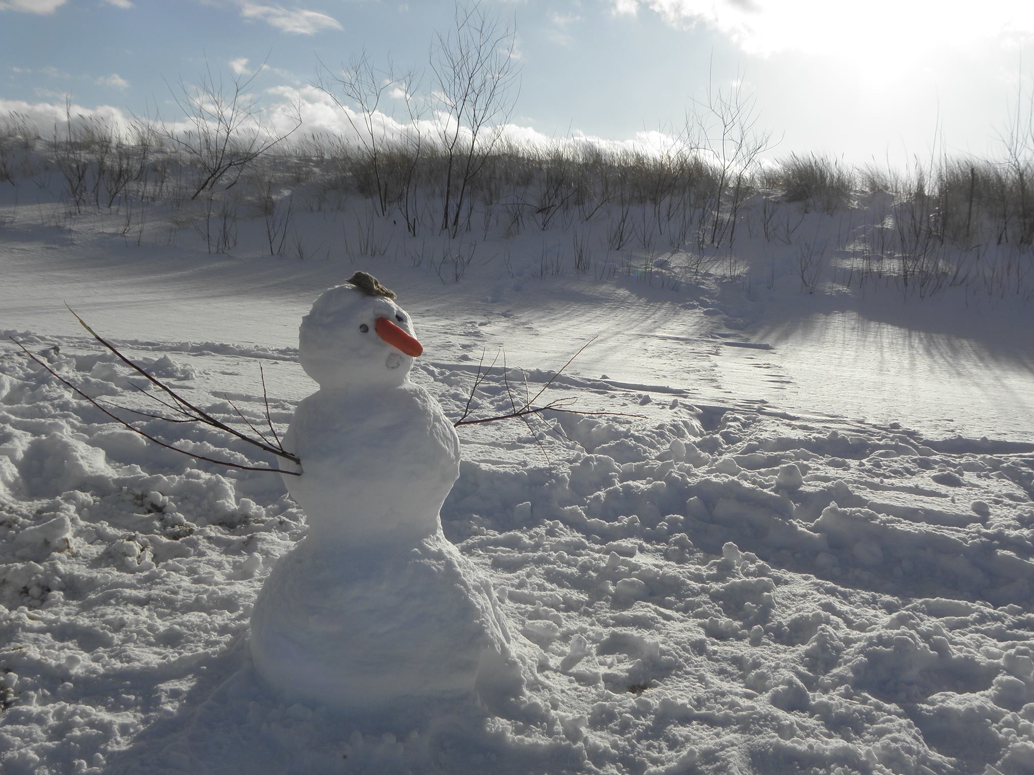Światowy Dzień Bałwana | EKO Kalendarz