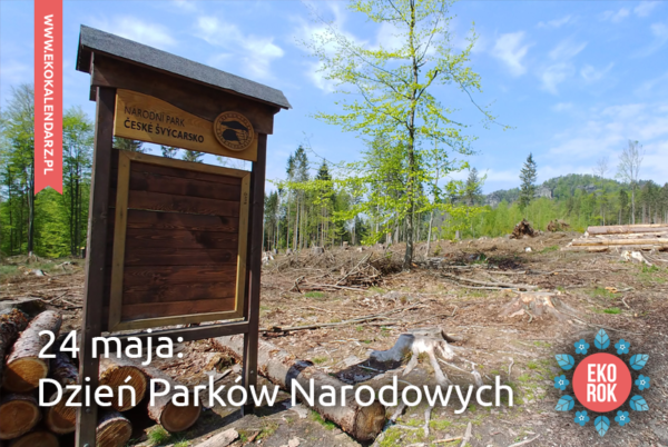 Dzień Parków Narodowych | EKO Kalendarz Dzień Parków Narodowych | EKO Kalendarz
