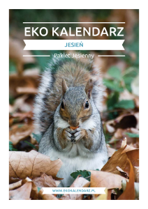 EKO Kalendarz | Kalendarz ekologiczny – ważne dni, wyzwania, wiedza ...
