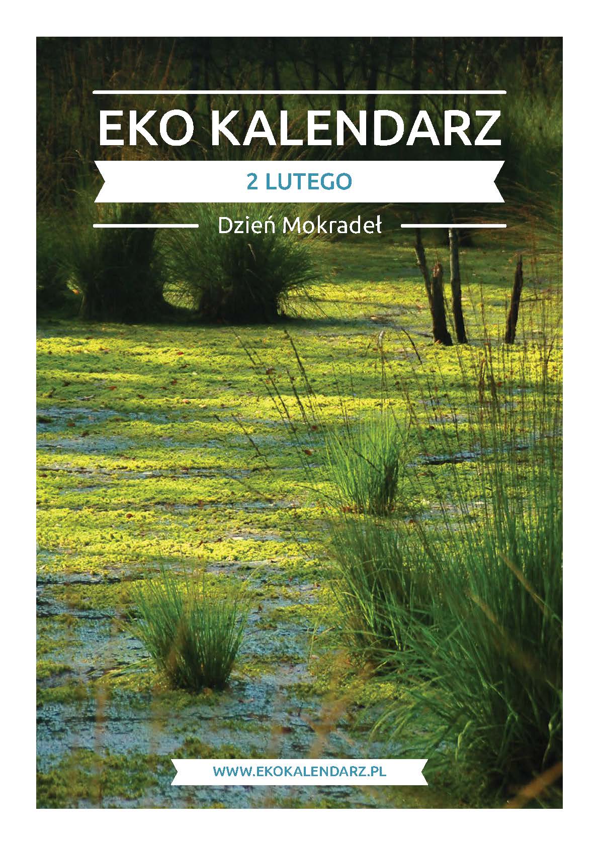 EKO Kalendarz | Kalendarz ekologiczny – ważne dni, wyzwania, wiedza ...
